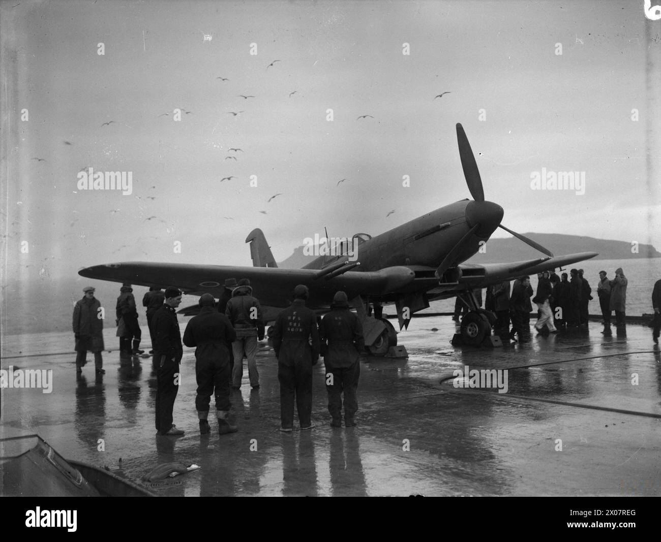 THE FIREBRAND IV: BRITAIN'S FIRST TORPEDO FIGHTER. 8 AND 9 FEBRUARY ...