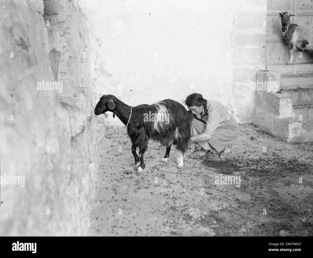 MALTA'S BRAVE VISAGE: EVERYDAY LIFE ON THE GEORGE CROSS ISLAND. 17 ...