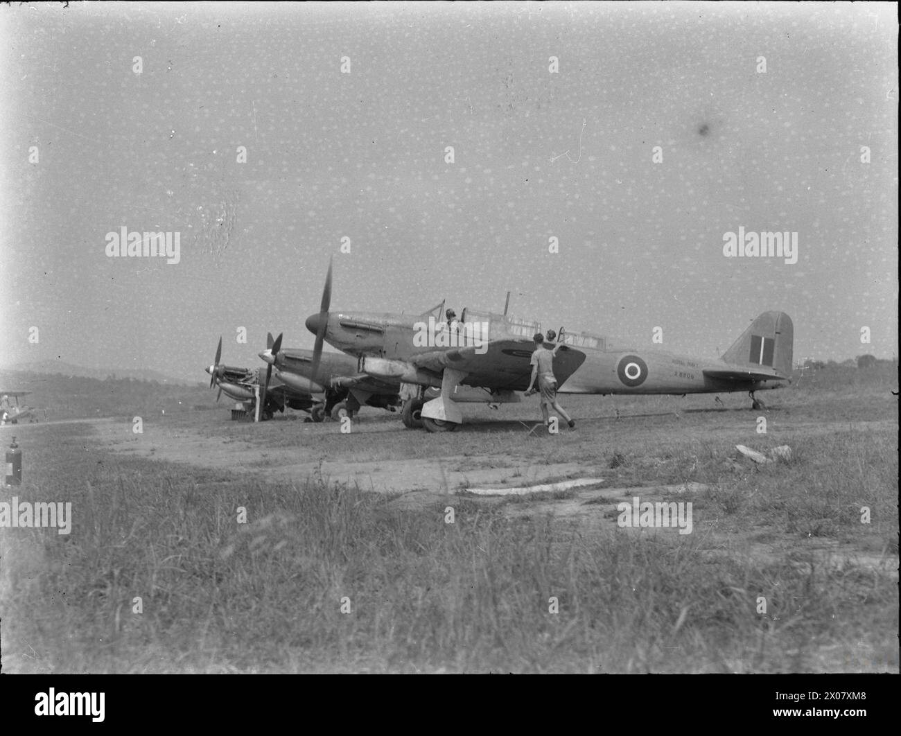 Spurwing hi-res stock photography and images - Alamy
