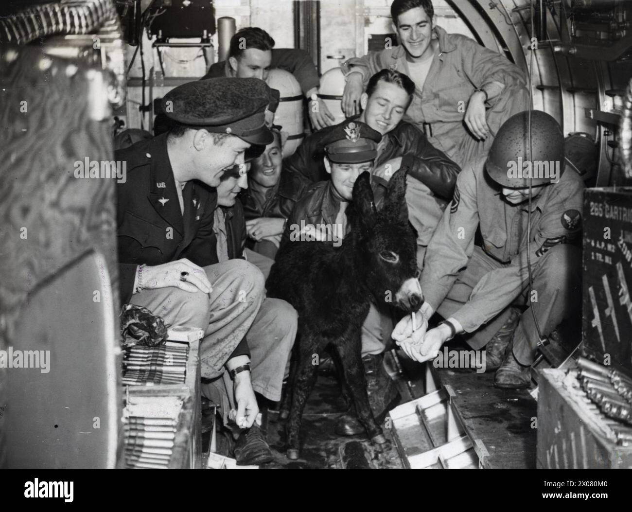 UNITED STATES ARMY AIR FORCES (USAAF) IN BRITAIN, 1942-1945 - A donkey ...