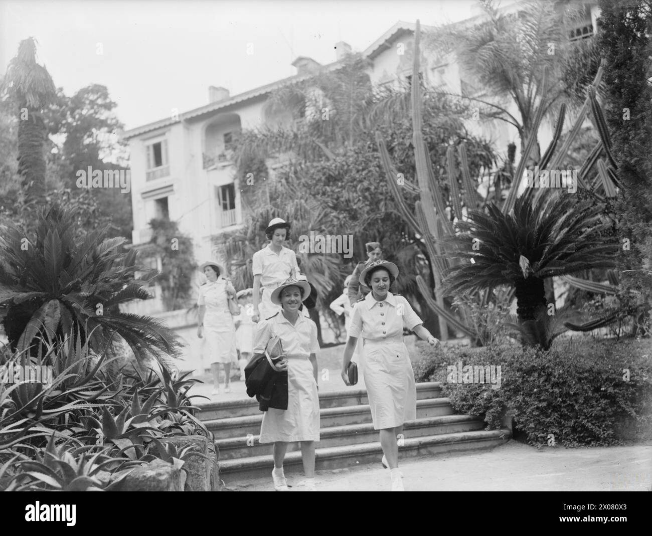 WRNS officers are pictured off duty among palm trees in Algiers on 12 ...