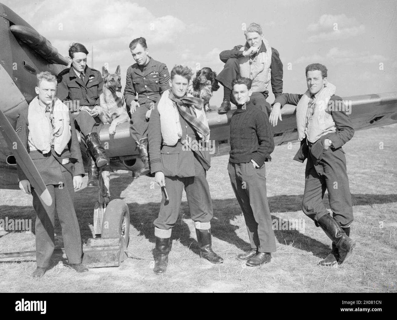 THE BATTLE OF BRITAIN 1940 - Pilots of No. 19 and No. 616 Squadrons ...