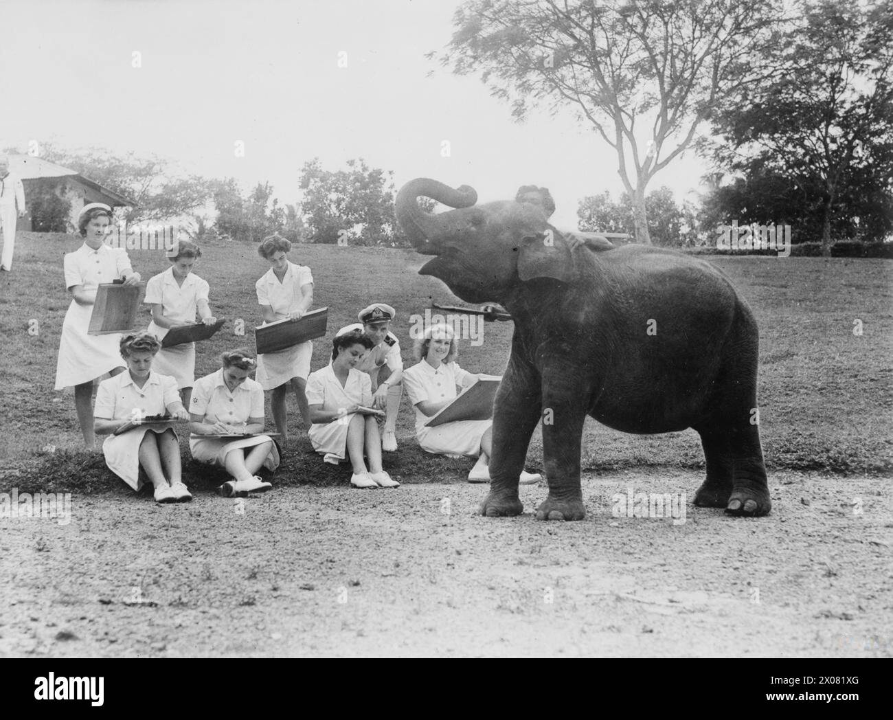 WREN ART STUDENTS AT COLOMBO. 2 NOVEMBER 1945, COLOMBO, CEYLON, WREN ...