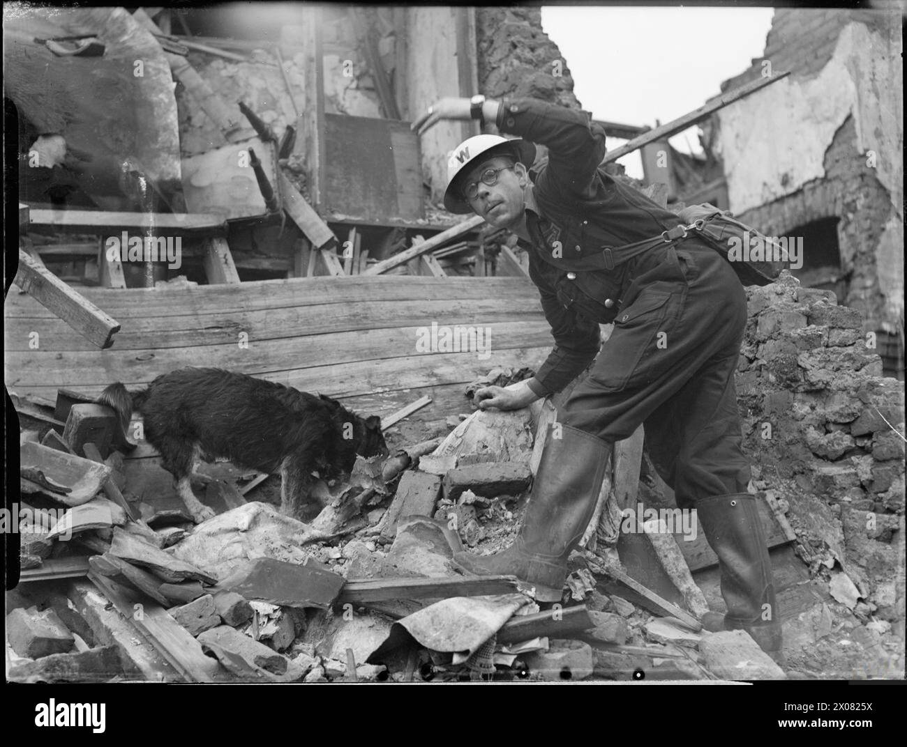 In August 1941, Rip, a dog awarded the Dickin Medal for bravery ...