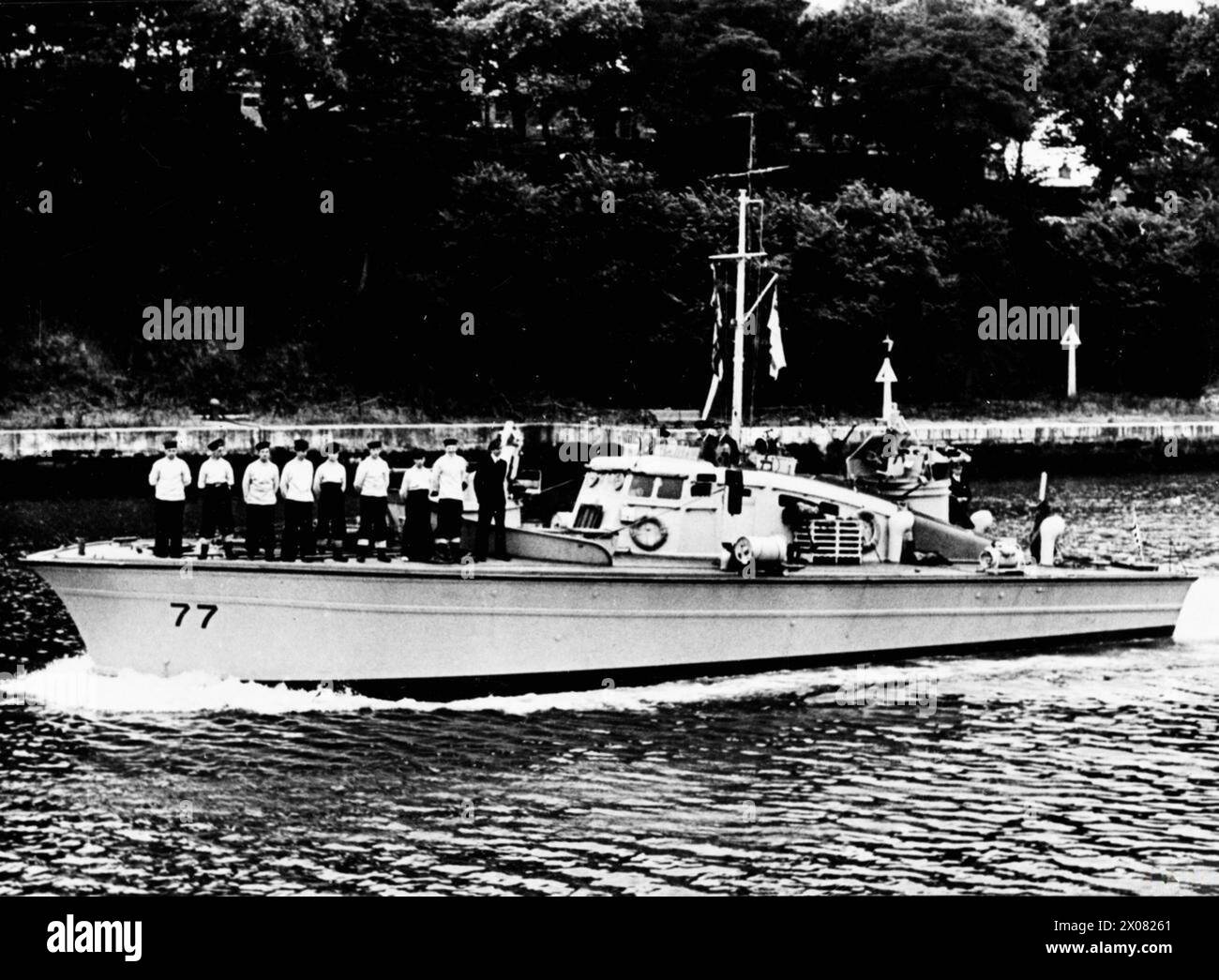 MGB 77, a Royal Navy Motor Gun Boat, moves along a tree-lined waterway ...