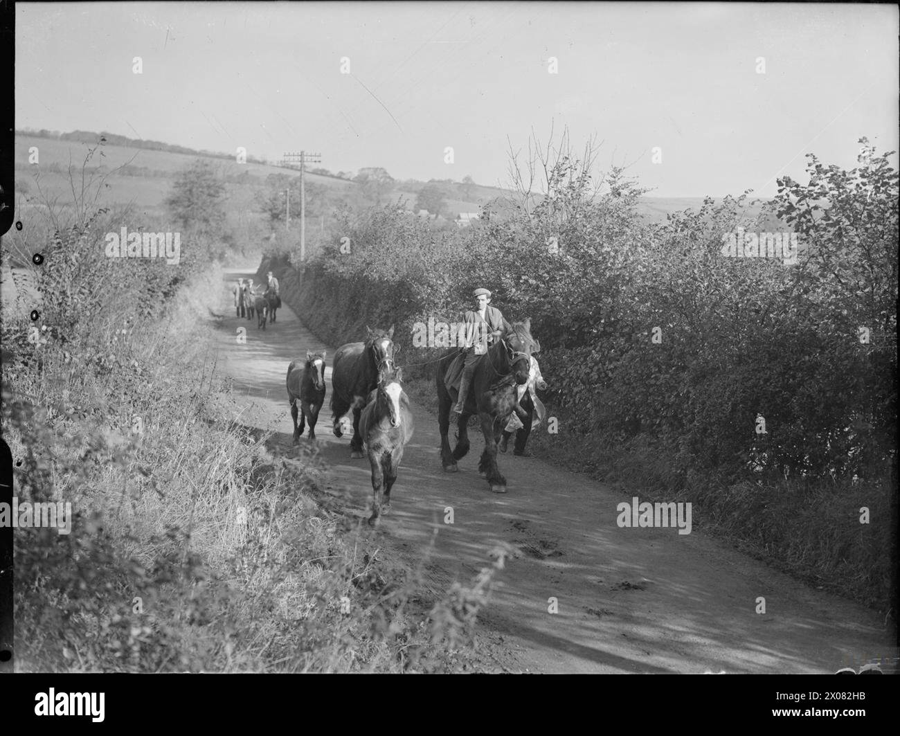 Bampton devon village hi-res stock photography and images - Alamy