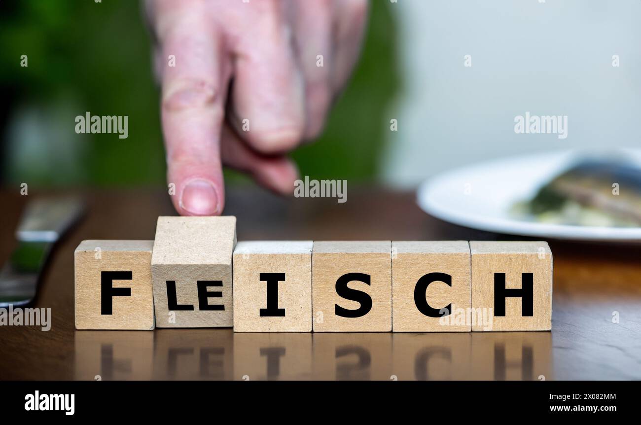 Hand turns cube and changes the German word 'Fleisch' (meat) to 'Fisch ...