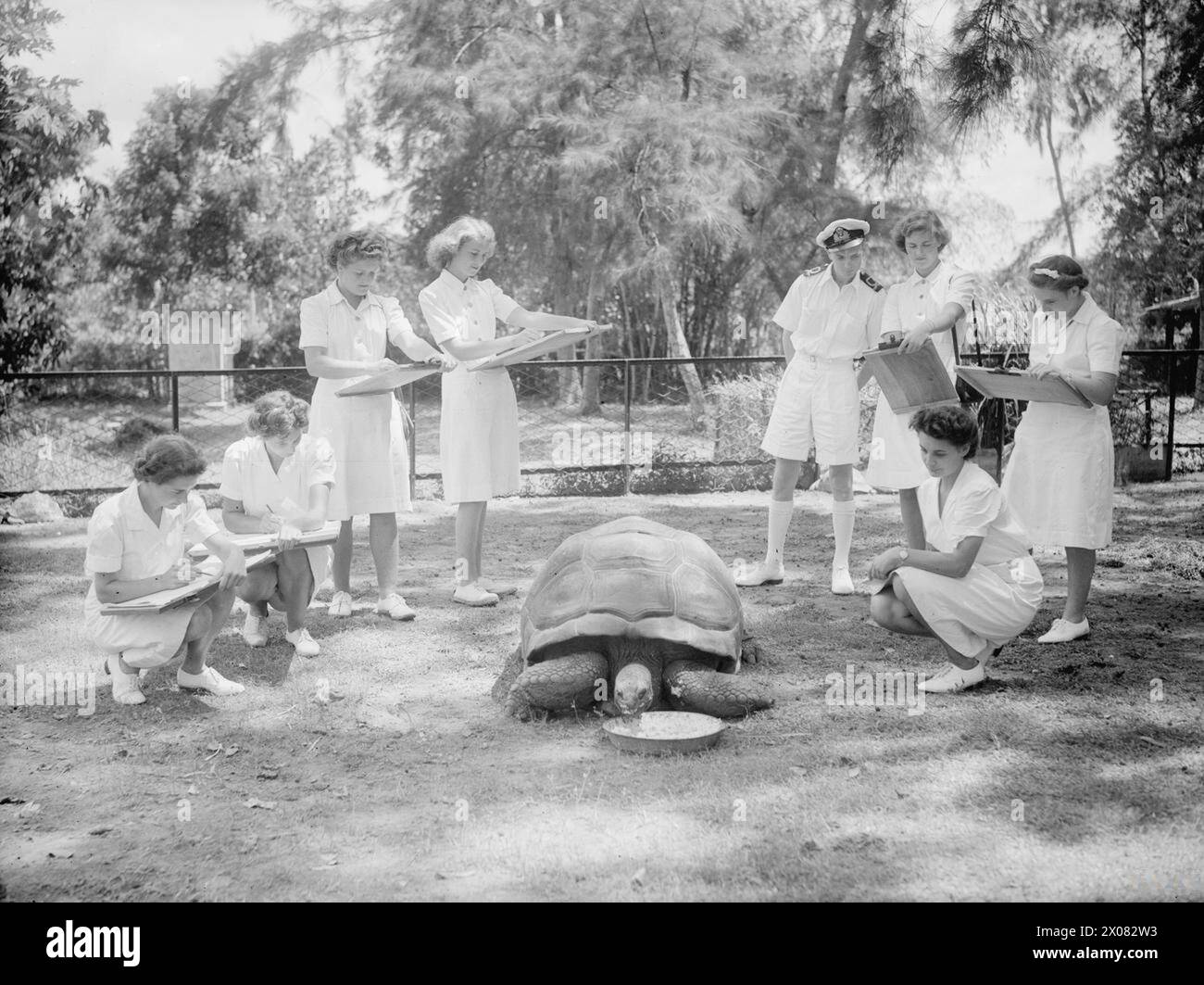 Wren members of the British East Indies Fleet participate in an art ...