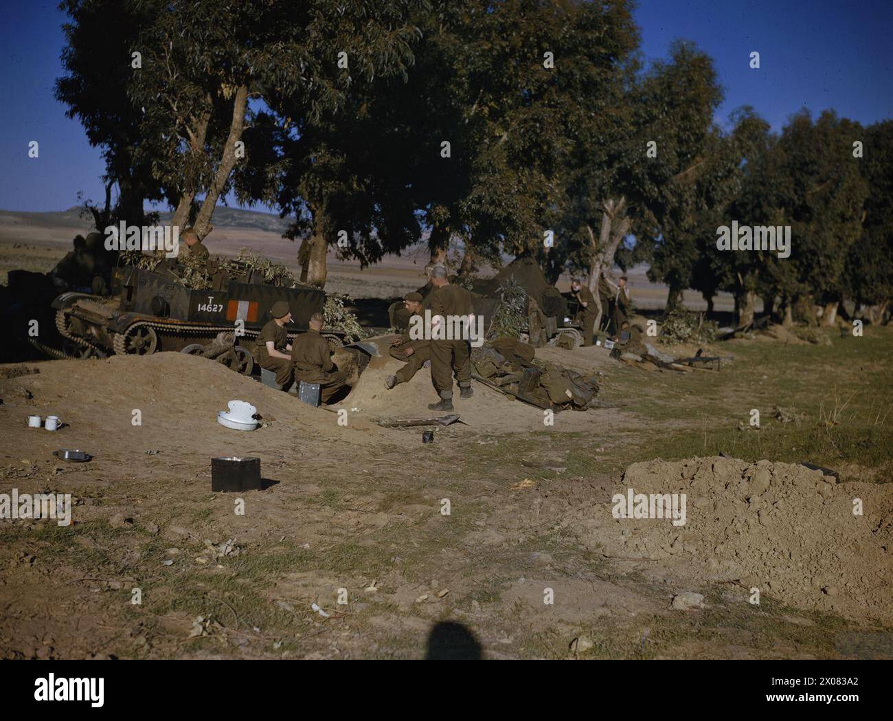 THE BRITISH ARMY IN NORTH AFRICA, JANUARY 1943 - Under cover of trees ...