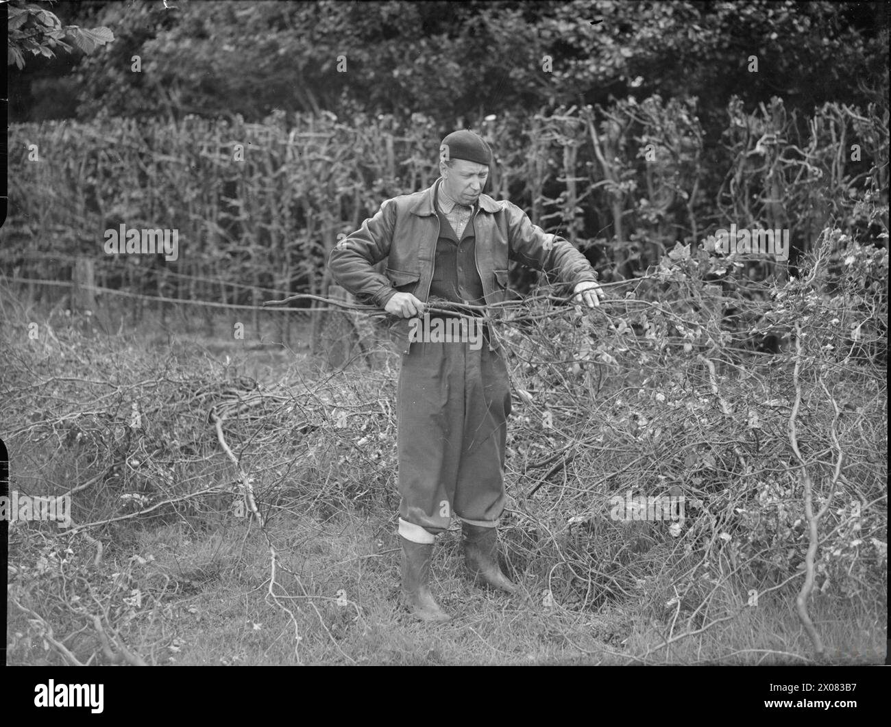 GEORGE FORMBY - FARMER: EVERYDAY LIFE ON THE FARM WITH GEORGE FORMBY ...