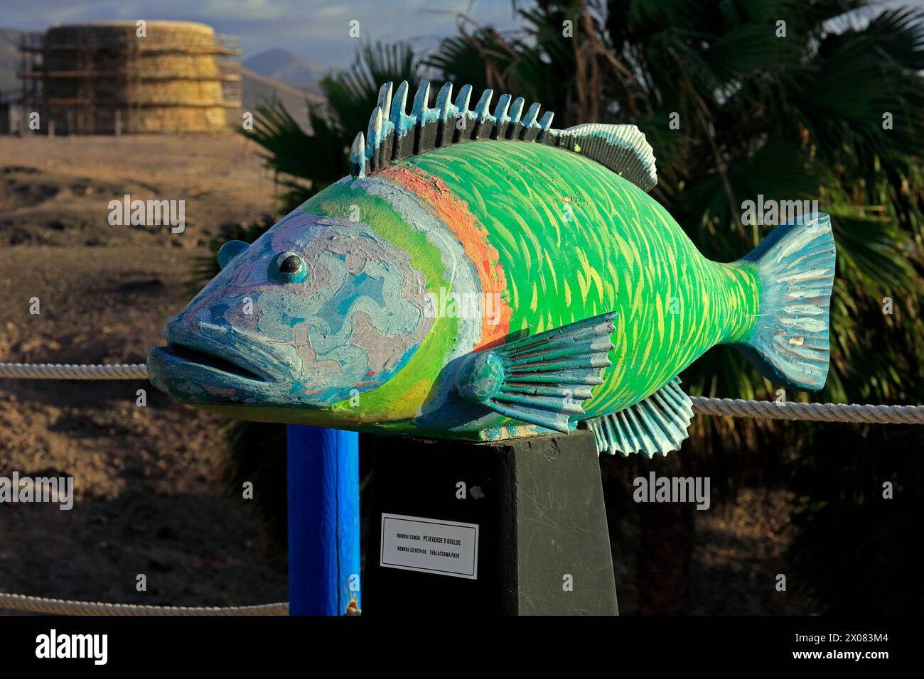 Colourful fun fish statues, El Cotillo, Fuerteventura, Canary Islands ...