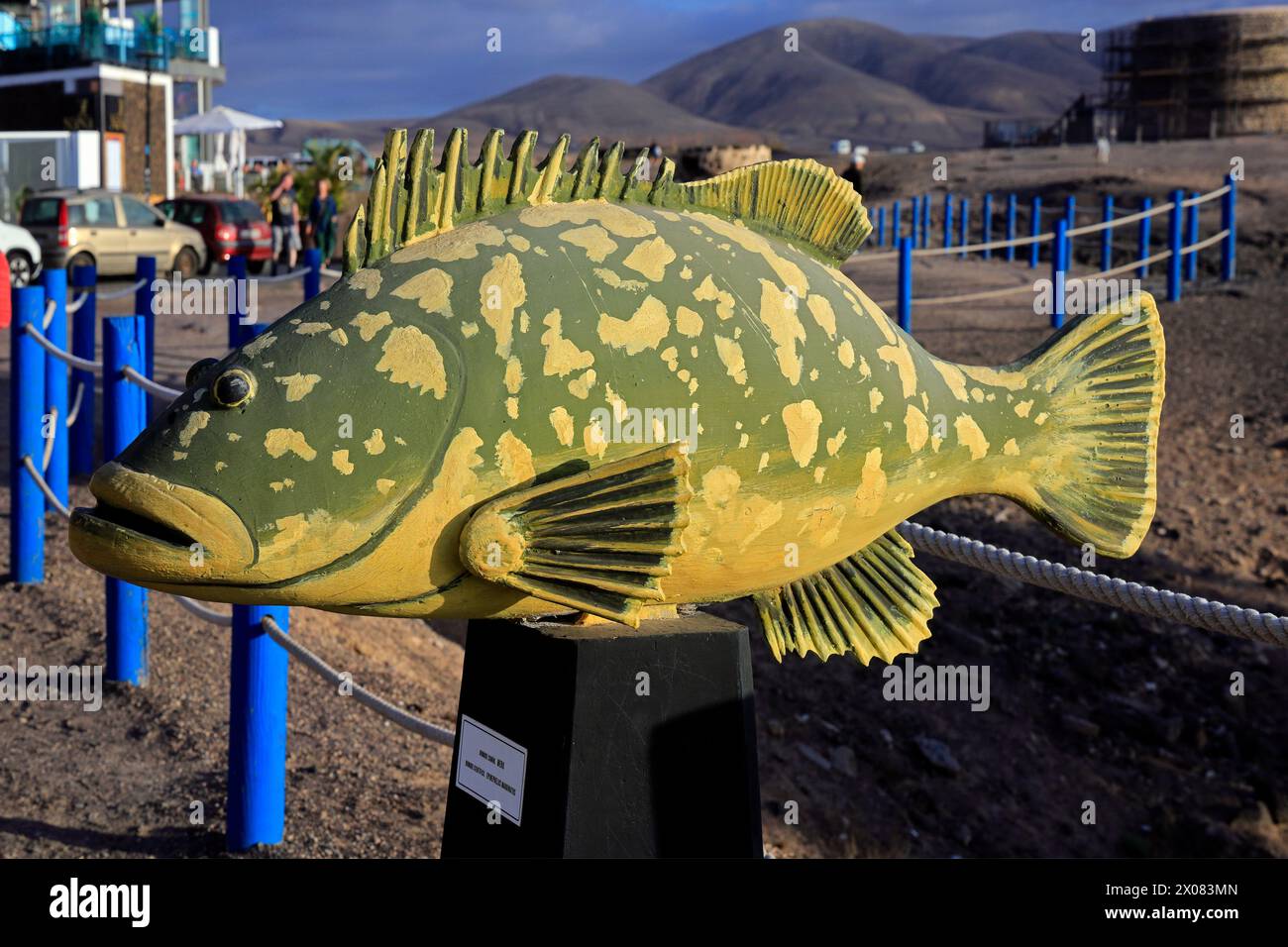 Colourful fun fish statues, El Cotillo, Fuerteventura, Canary Islands ...
