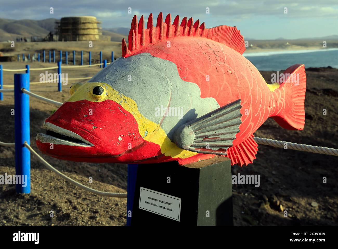 Colourful fun fish statues, El Cotillo, Fuerteventura, Canary Islands ...
