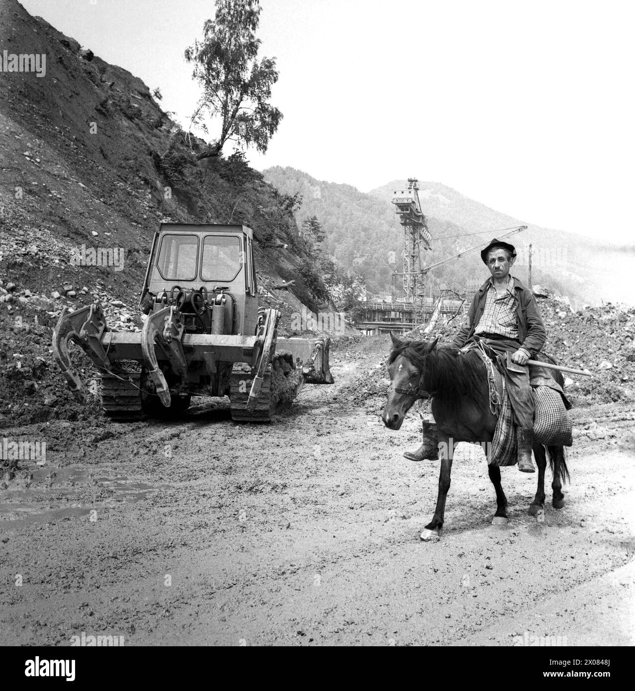Socialist Republic of Romania in the 1970s. Man riding a mule on an ...