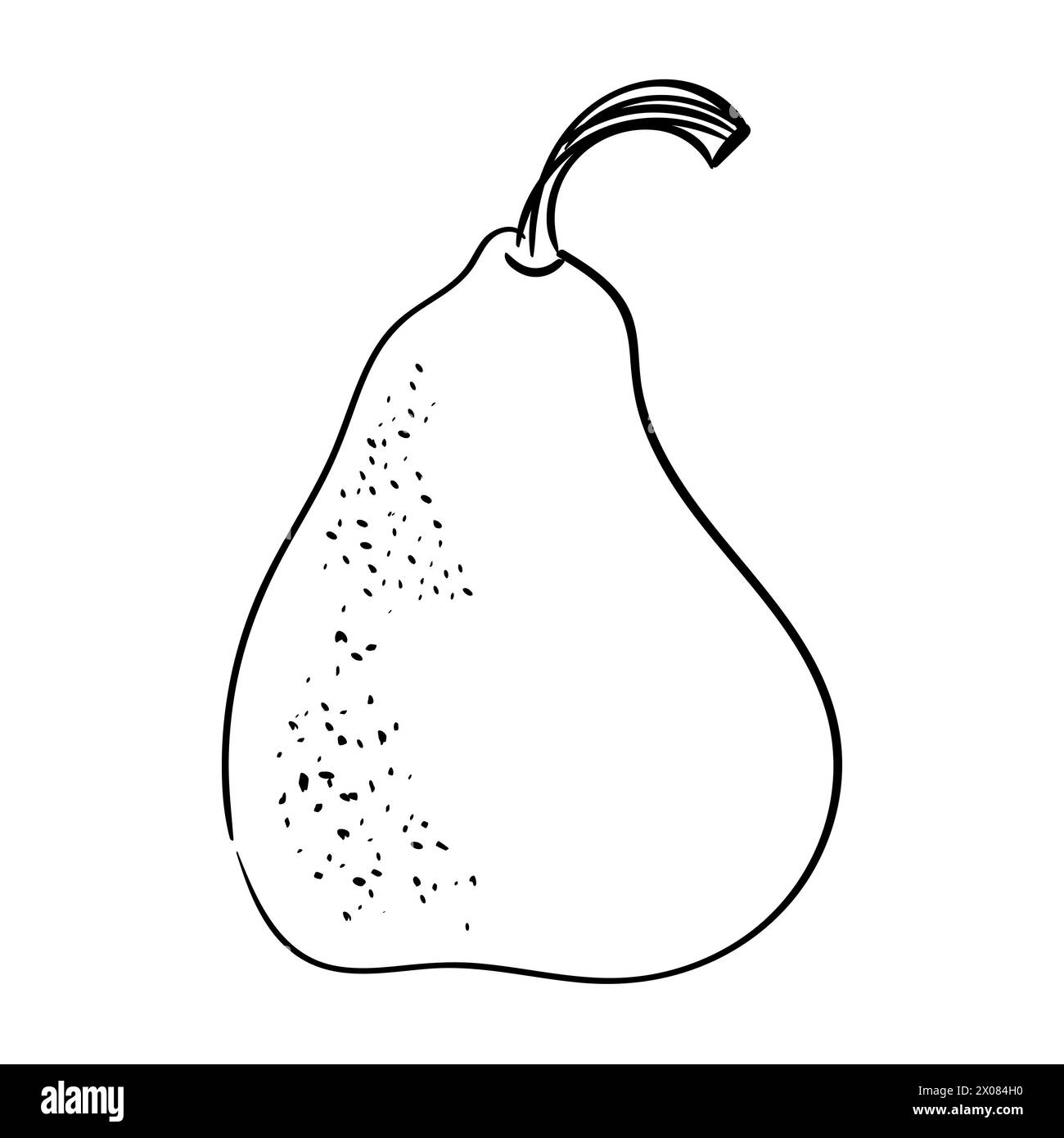 Pears hand drawn outline. The black line art on a white background ...