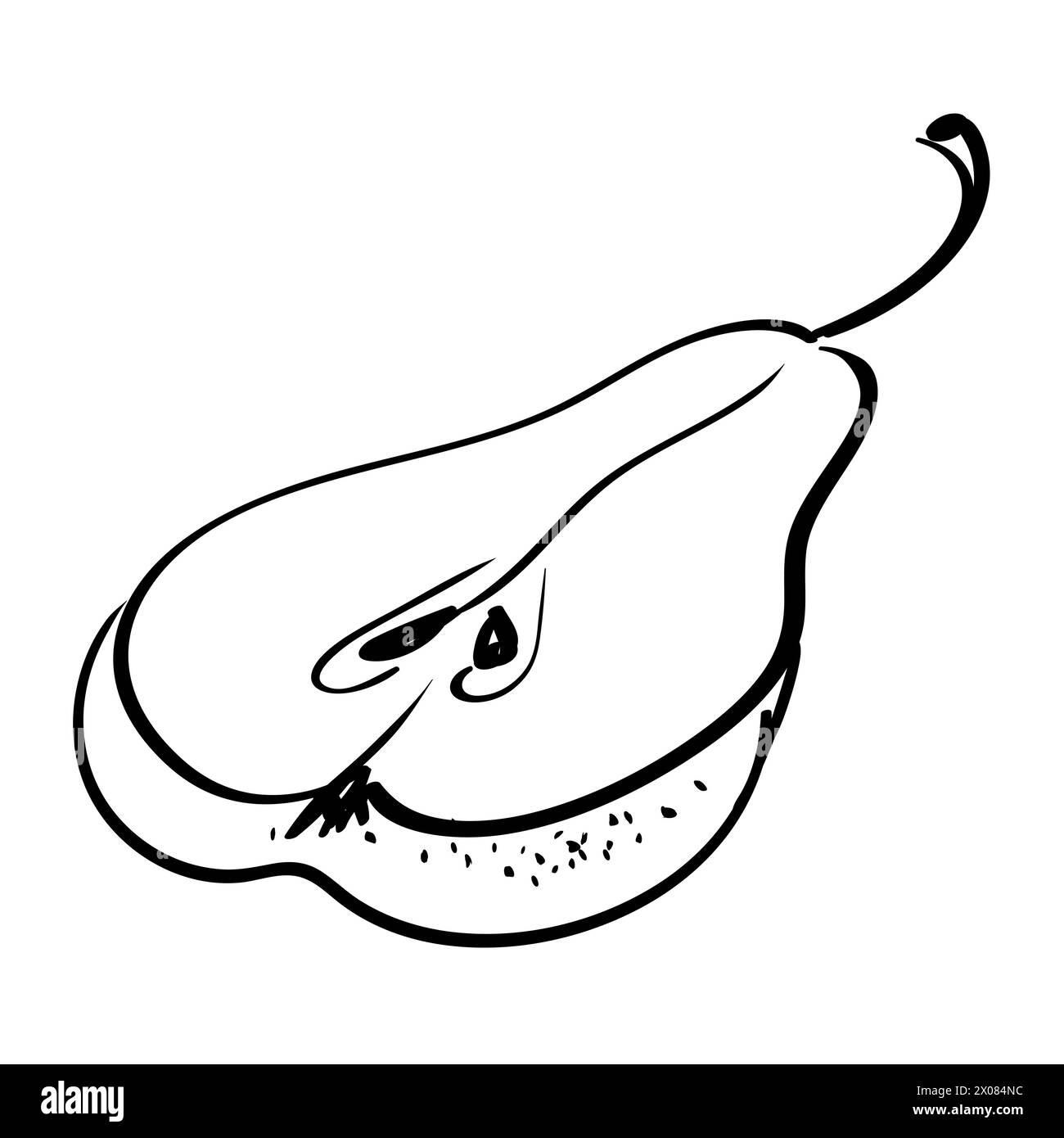 Pears hand drawn outline. The black line art on a white background ...