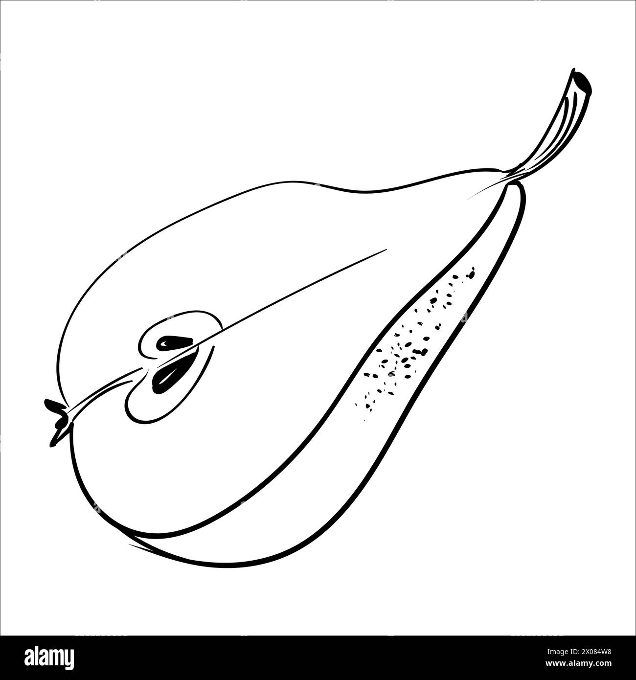Pears hand drawn outline. The black line art on a white background ...