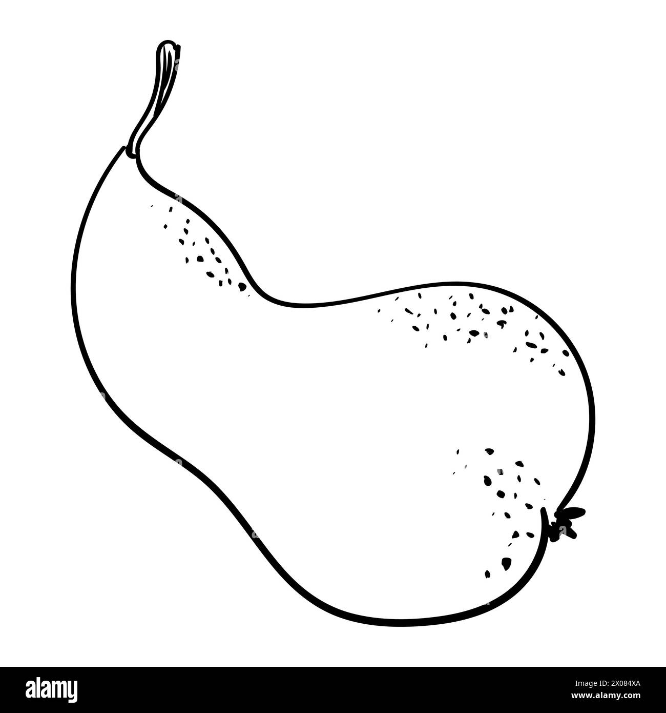 Pears hand drawn outline. The black line art on a white background ...