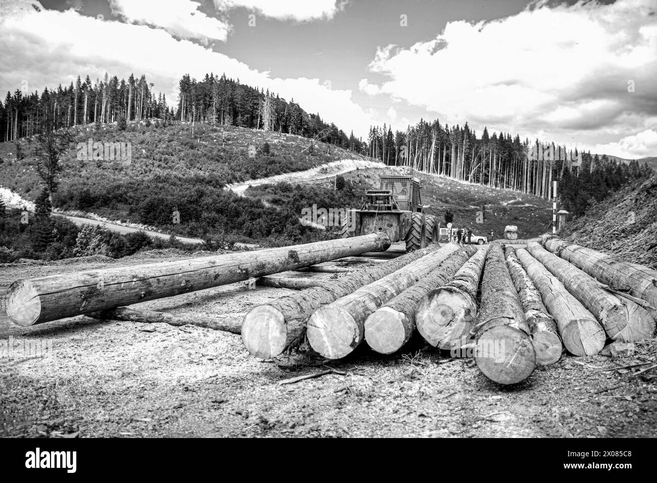 Forest industry. Lumberjack with modern harvester working in a forest ...