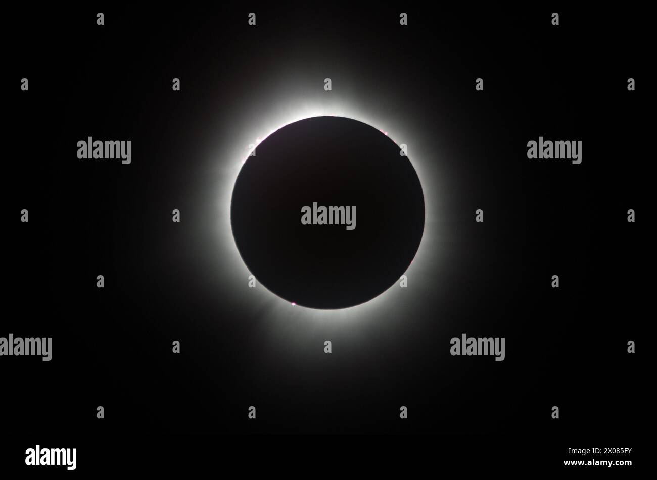 Solar Total Eclipse 2024 from Plattsburgh New York Stock Photo - Alamy