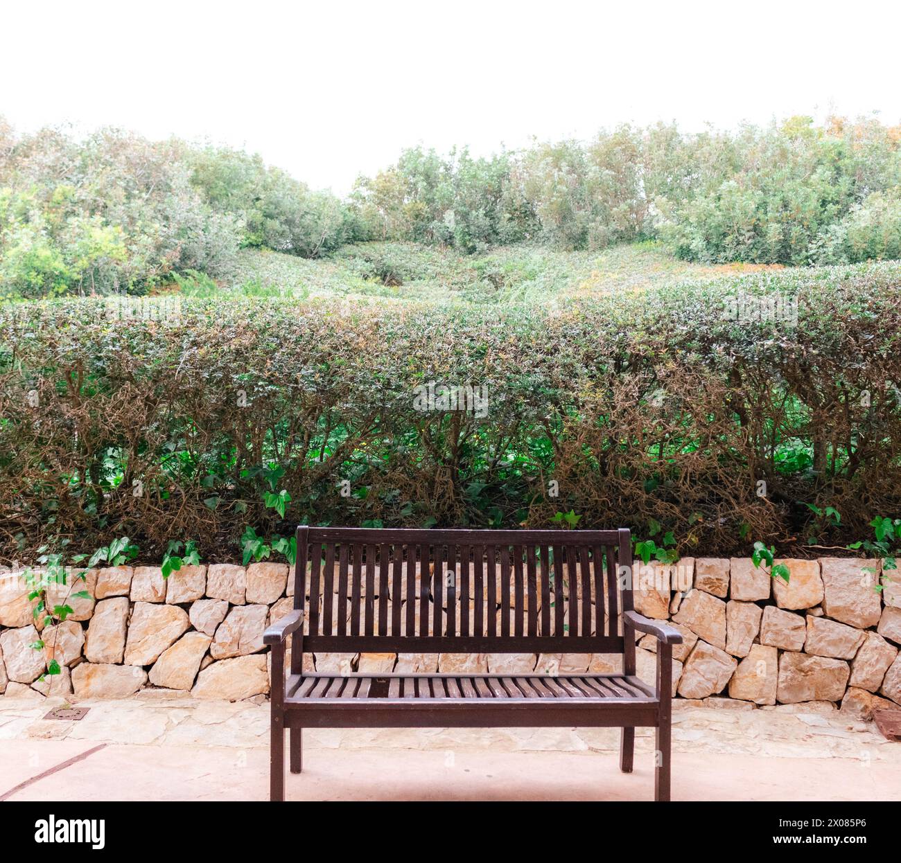 Elegant bench in a park Stock Photo - Alamy