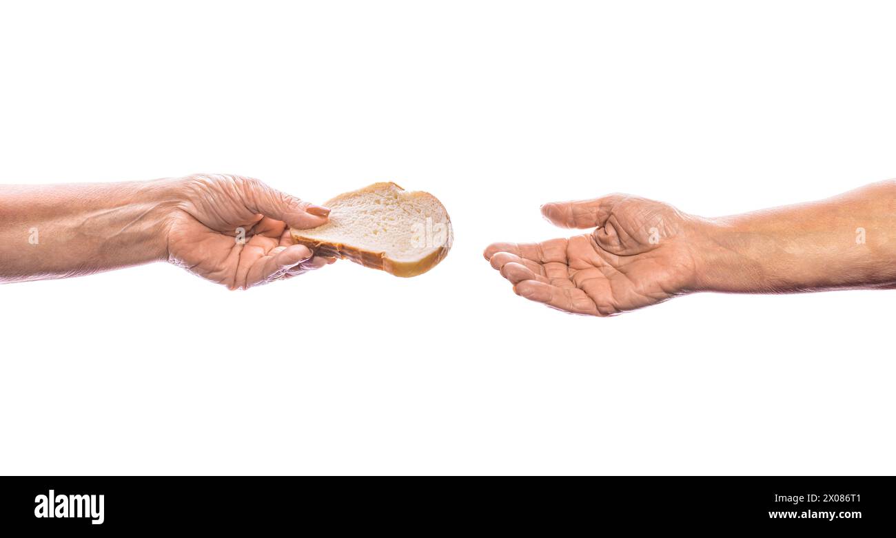 Old woman's hand holding piece of bread. Isolated on white. Hand with ...