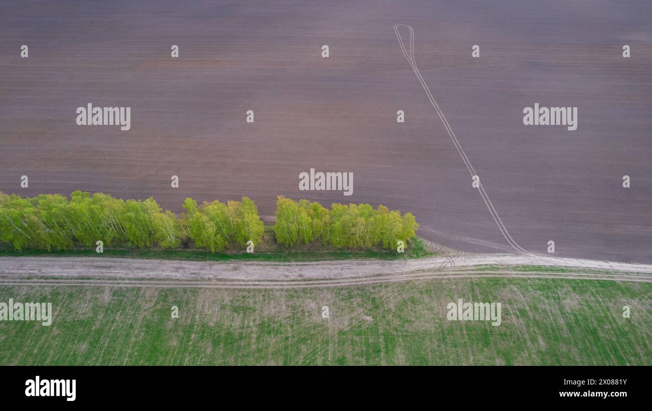 aerial view of agricultural fields separated by a road and tree ...