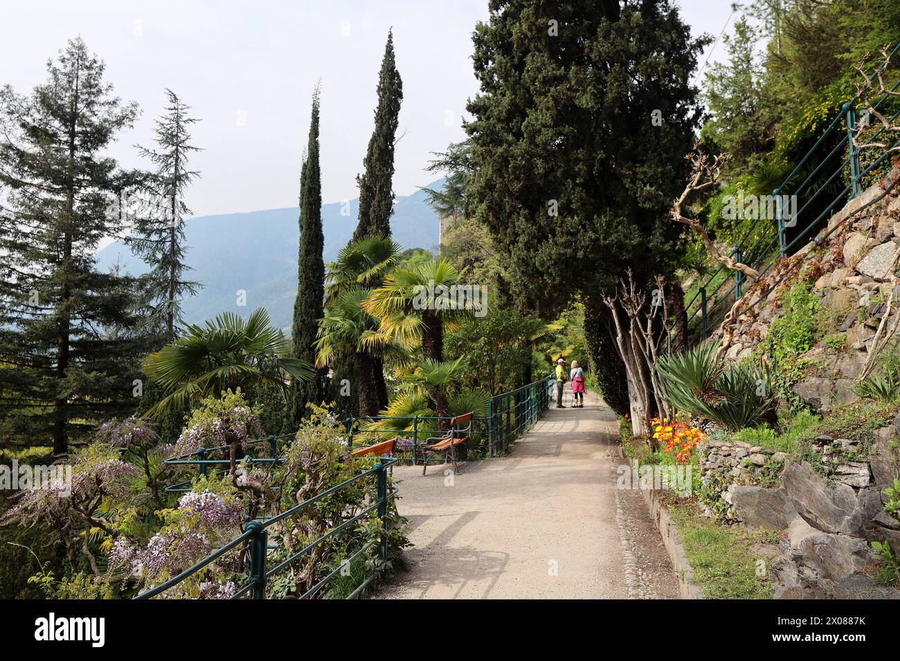 Meran, Südtirol, Italien 09. April 2024: Ein Frühlingstag in Meran ...