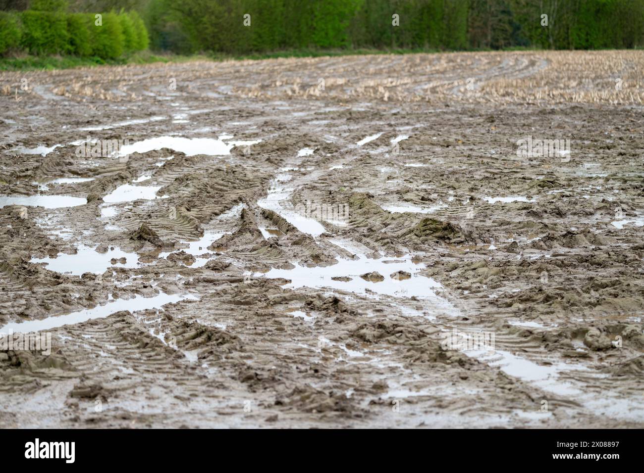 Waterlogged fields in the English countryside in spring after the ...