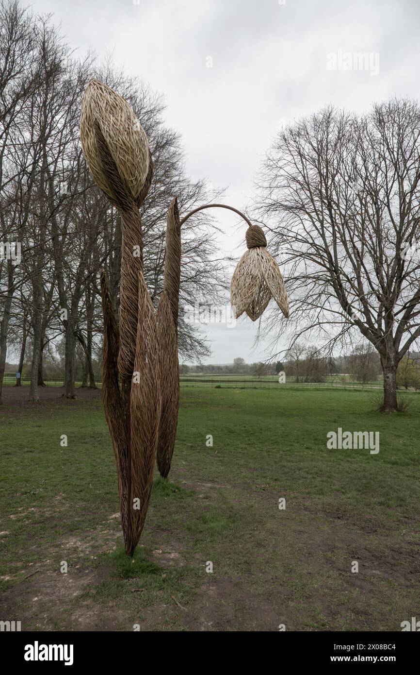 Willow snowdrop sculpture hi-res stock photography and images - Alamy