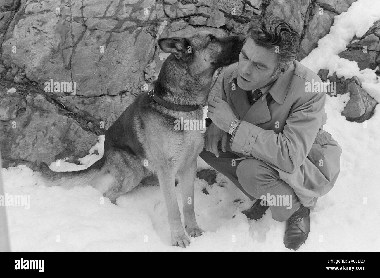 Current 9 - 8 - 1973: Norway's new film starThe police dog Faiko has ...