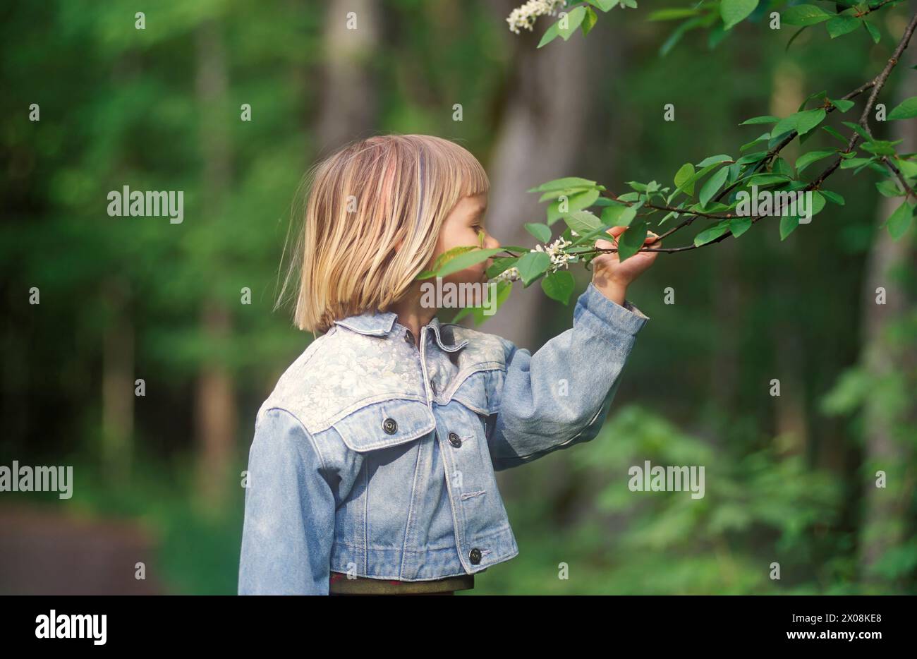 Young girl smelling bird cherry Stock Photo - Alamy