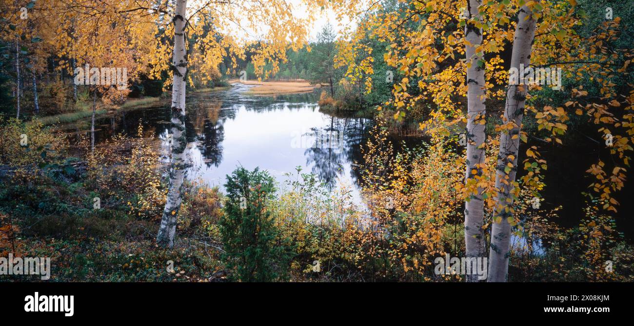 Autumn colors in Swedish landscape Stock Photo - Alamy