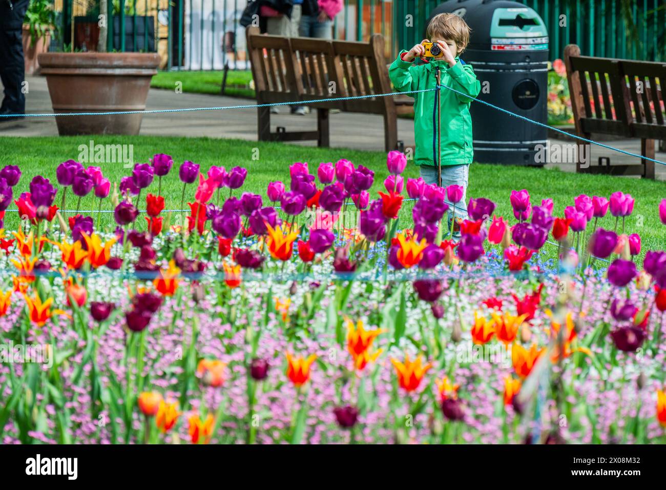 London, UK. 10 Apr 2024. Visitors enjoy the spectacle as spring weather ...