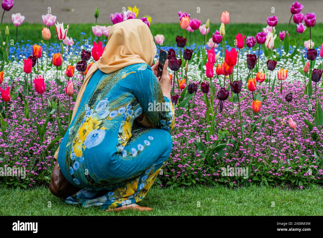 London, UK. 10th Apr, 2024. Visitors enjoy the spectacle as spring ...