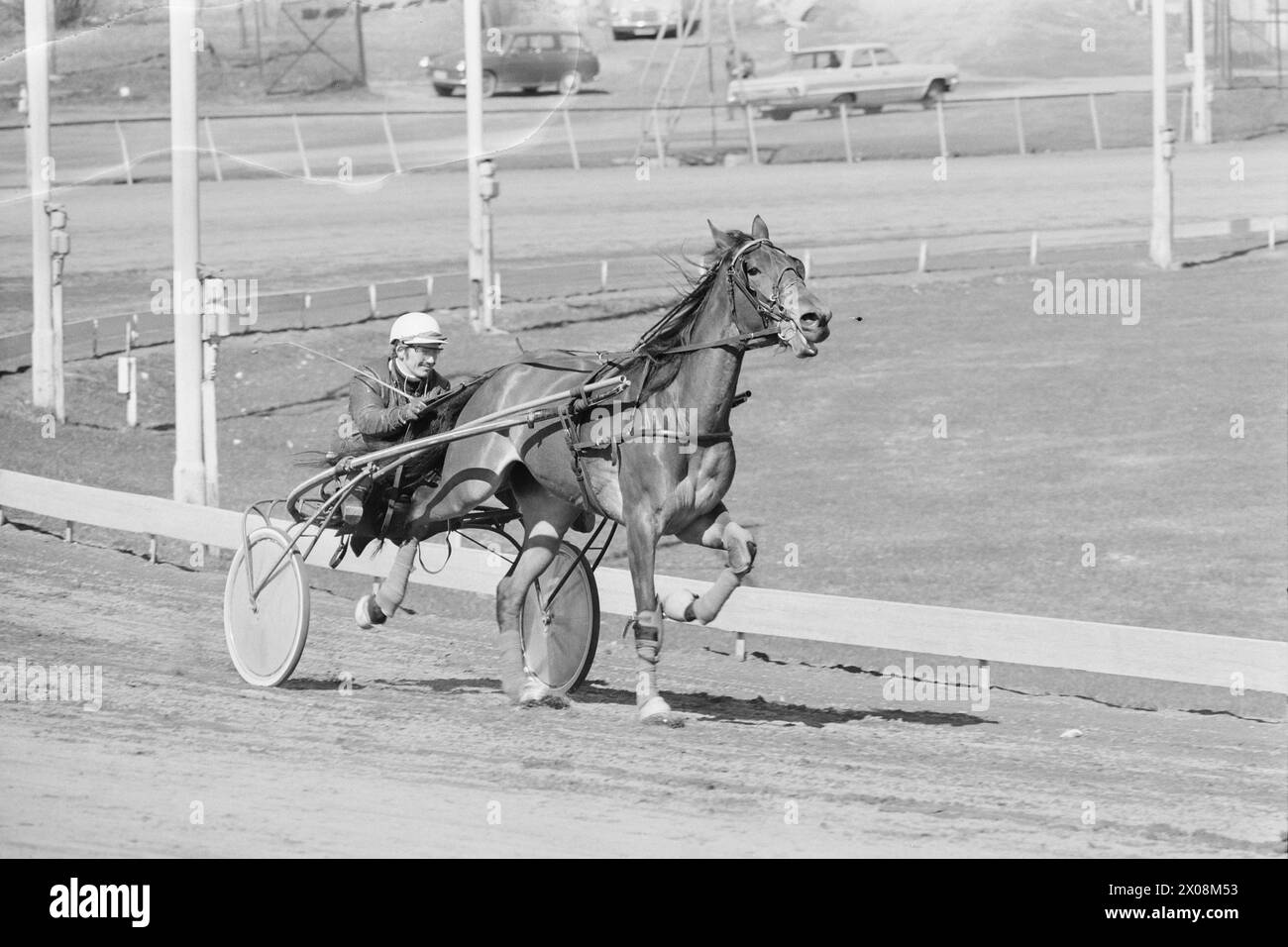 Actual 18 - 2 - 1973: A horse's head in frontNorway has had its first ...