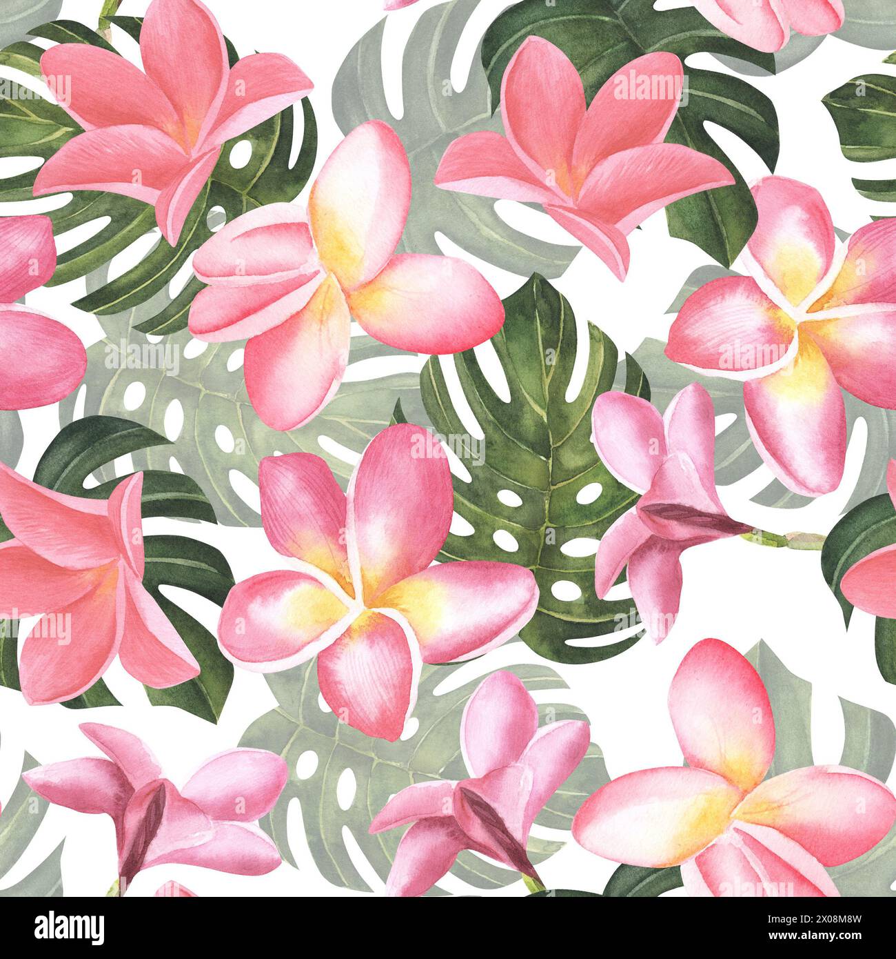 Pink Plumeria Drawing
