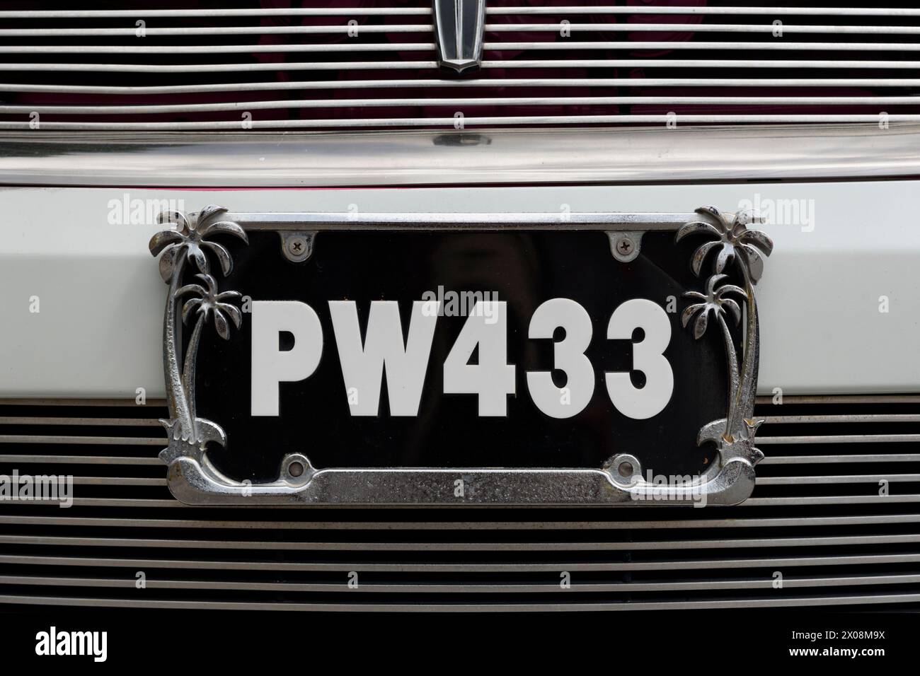 Elaborate car number plate with palm trees, Port Elizabeth, Bequia ...