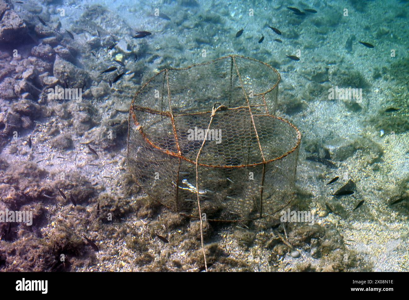Fish trap at the bottom of the sea. Fishes inside trap. Sea fishing ...