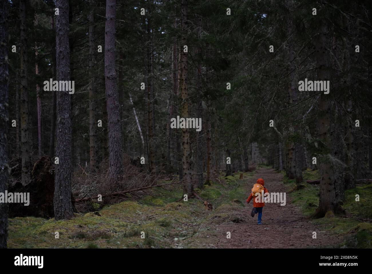 Boy running through forest hi-res stock photography and images - Alamy