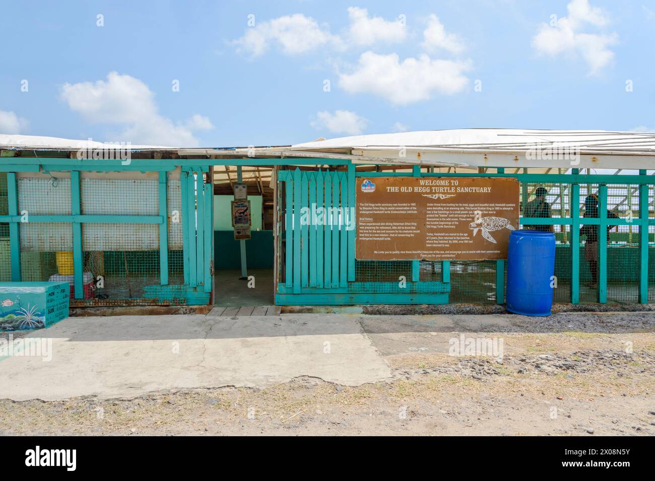 Old Hegg Turtle Sanctuary assists the conservation of endangered ...