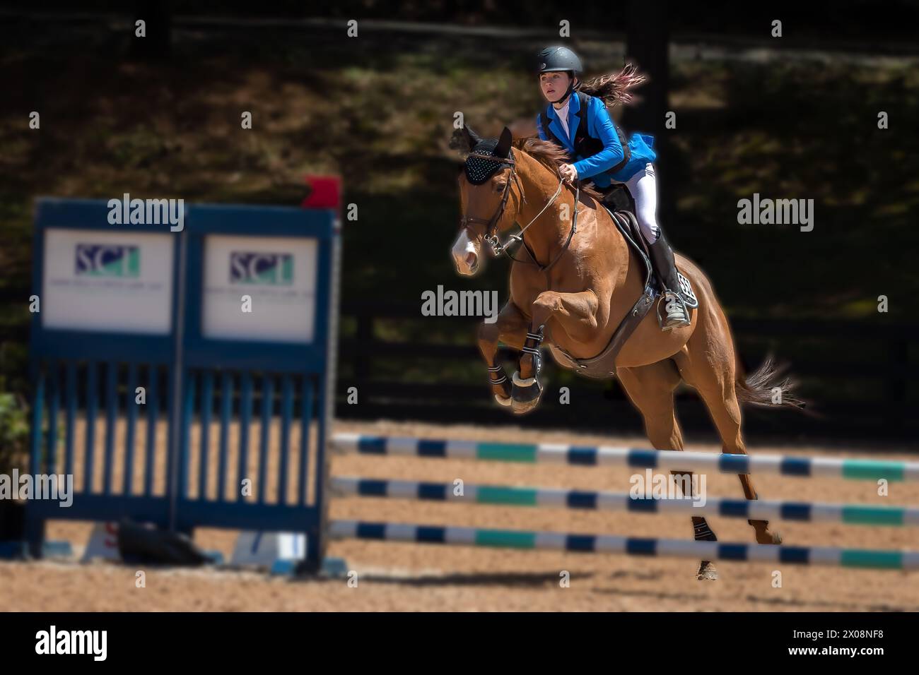 Show jumping gear hi-res stock photography and images - Alamy
