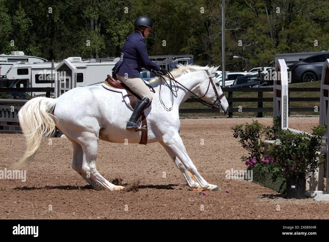 Equestrian engagement hi-res stock photography and images - Alamy