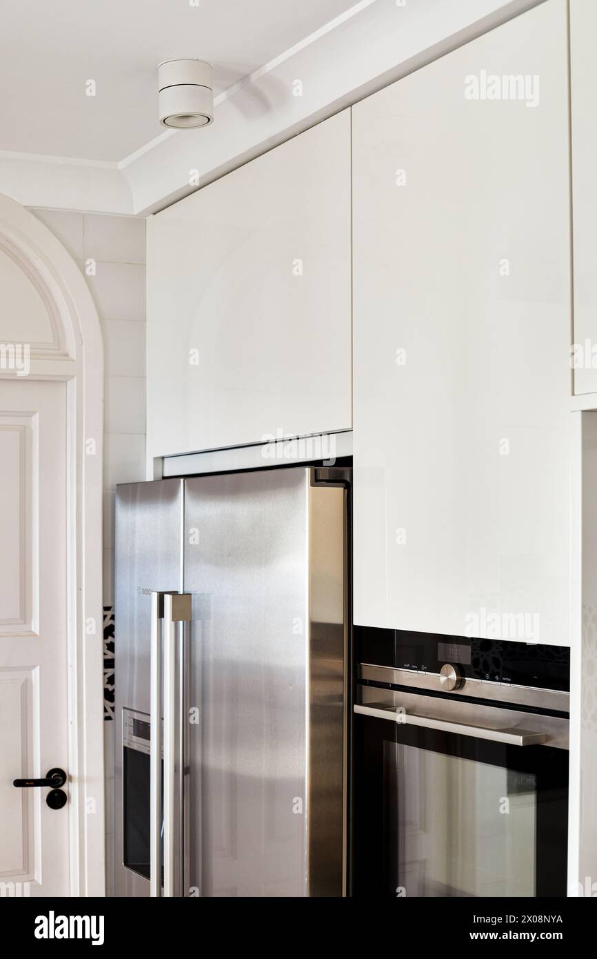 Sleek and stylish modern kitchen featuring high-end stainless steel ...