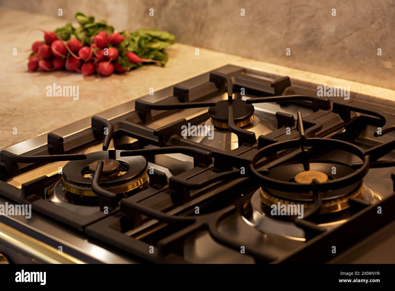 A close-up view of a modern gas stove's burner with a bunch of fresh ...