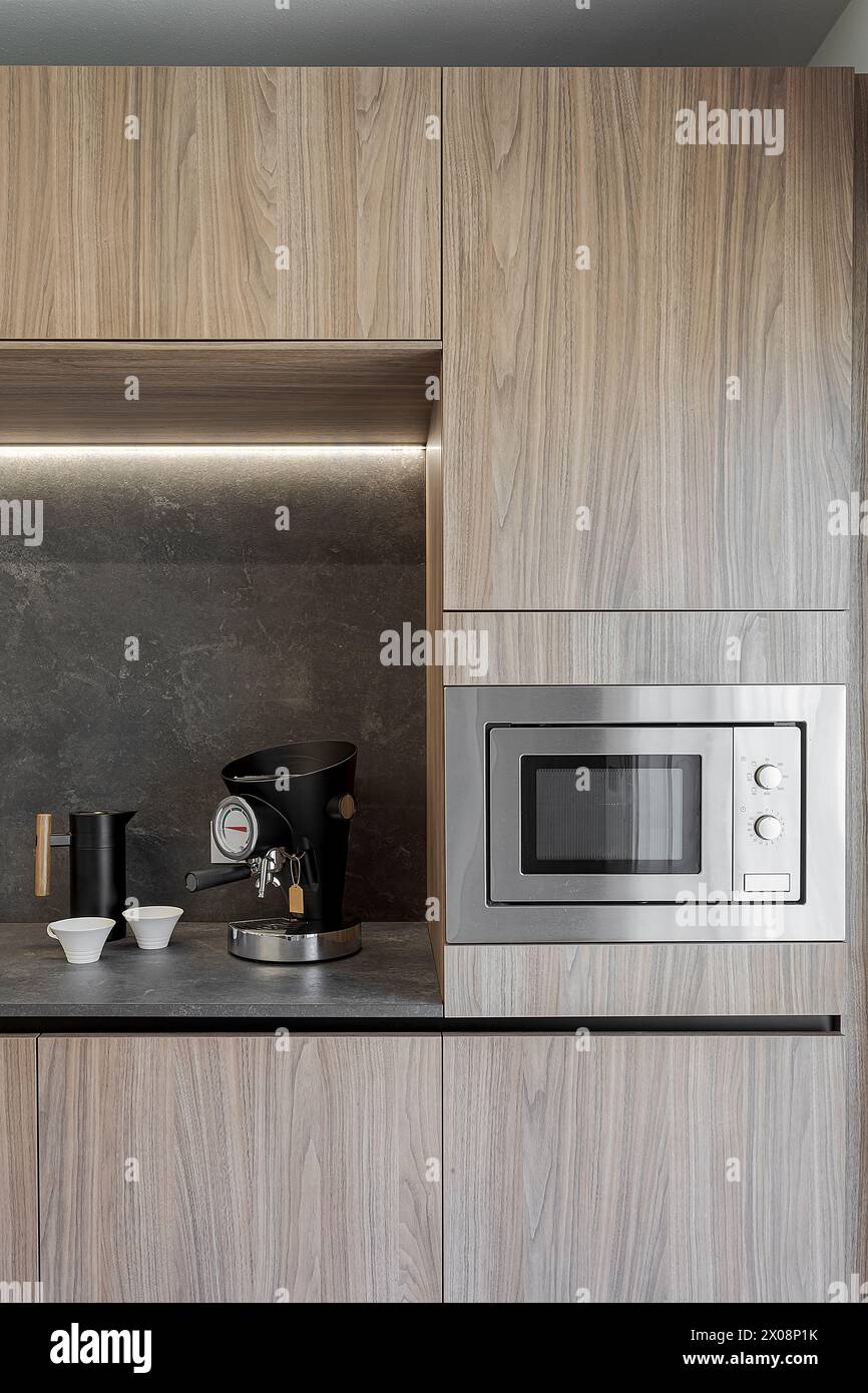 A sleek, modern kitchen featuring wood grain cabinets, a built-in ...