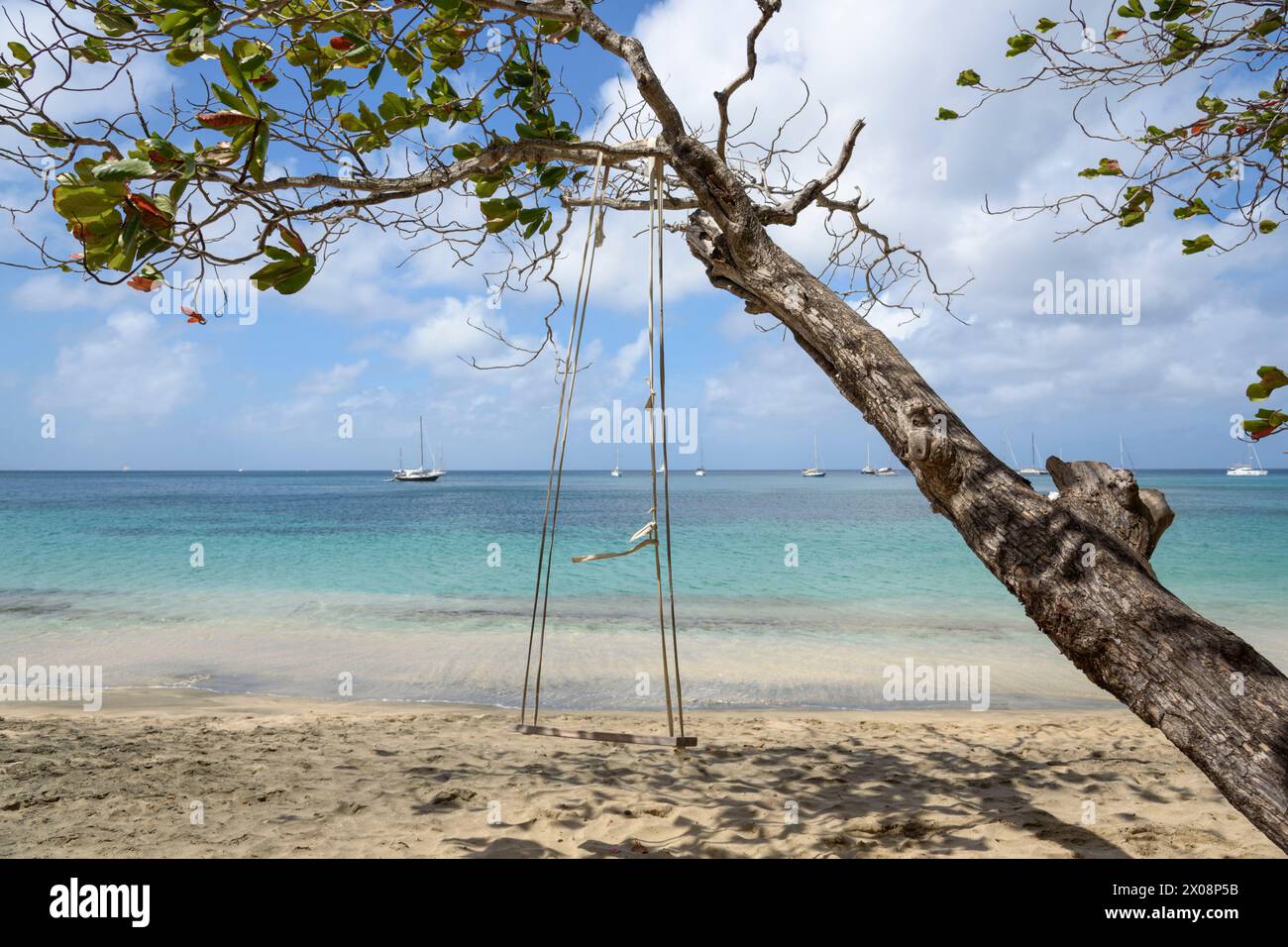 Rustic swing hanging from a tree at Lower Bay beach, Bequia Island, St ...