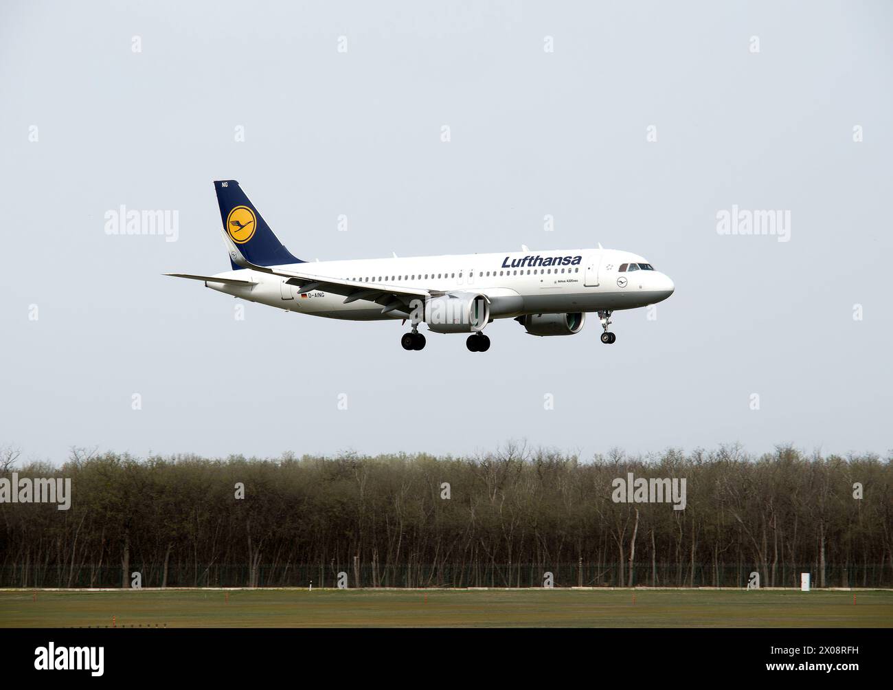 Lufthansa (is the largest German airline), Airbus A320 neo airplane ...