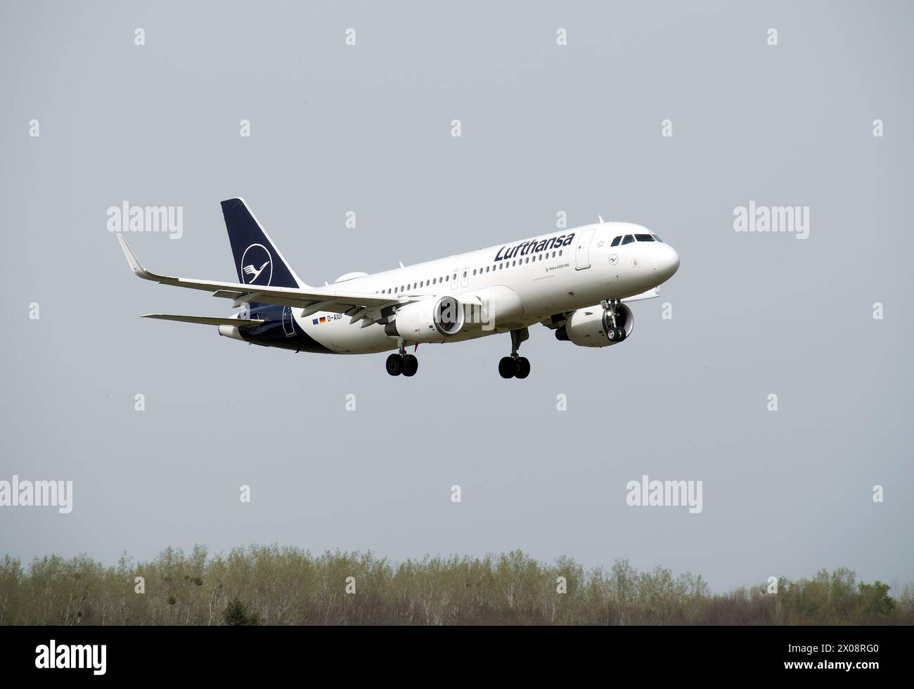 Lufthansa (is the largest German airline), Airbus A320-200 airplane ...