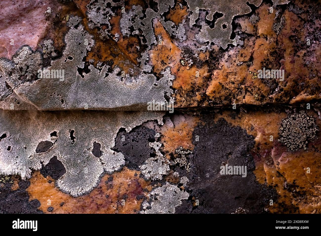 Close-up of colorful nickel formations on textured silica and quartz ...